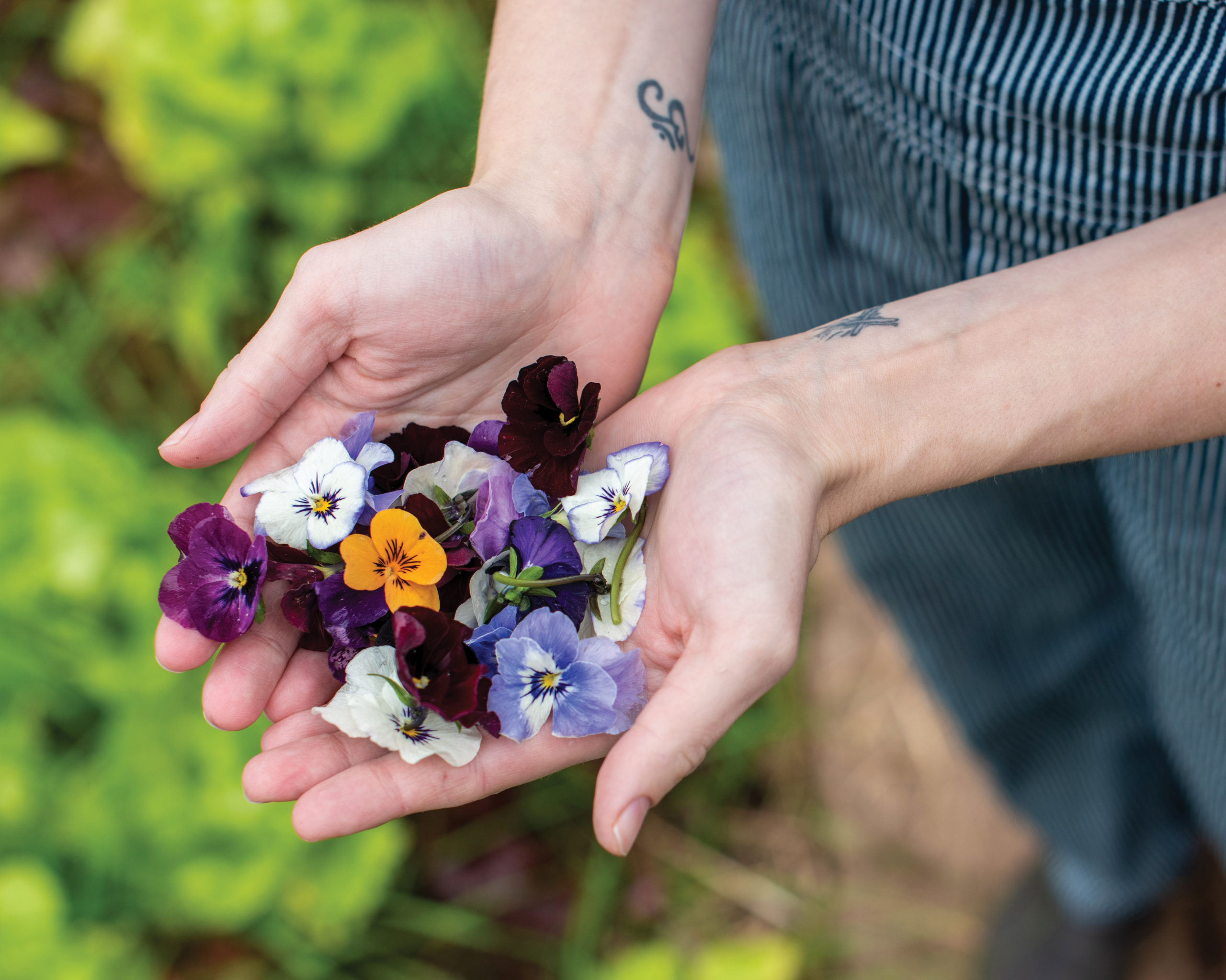 The Taste of Flowers
