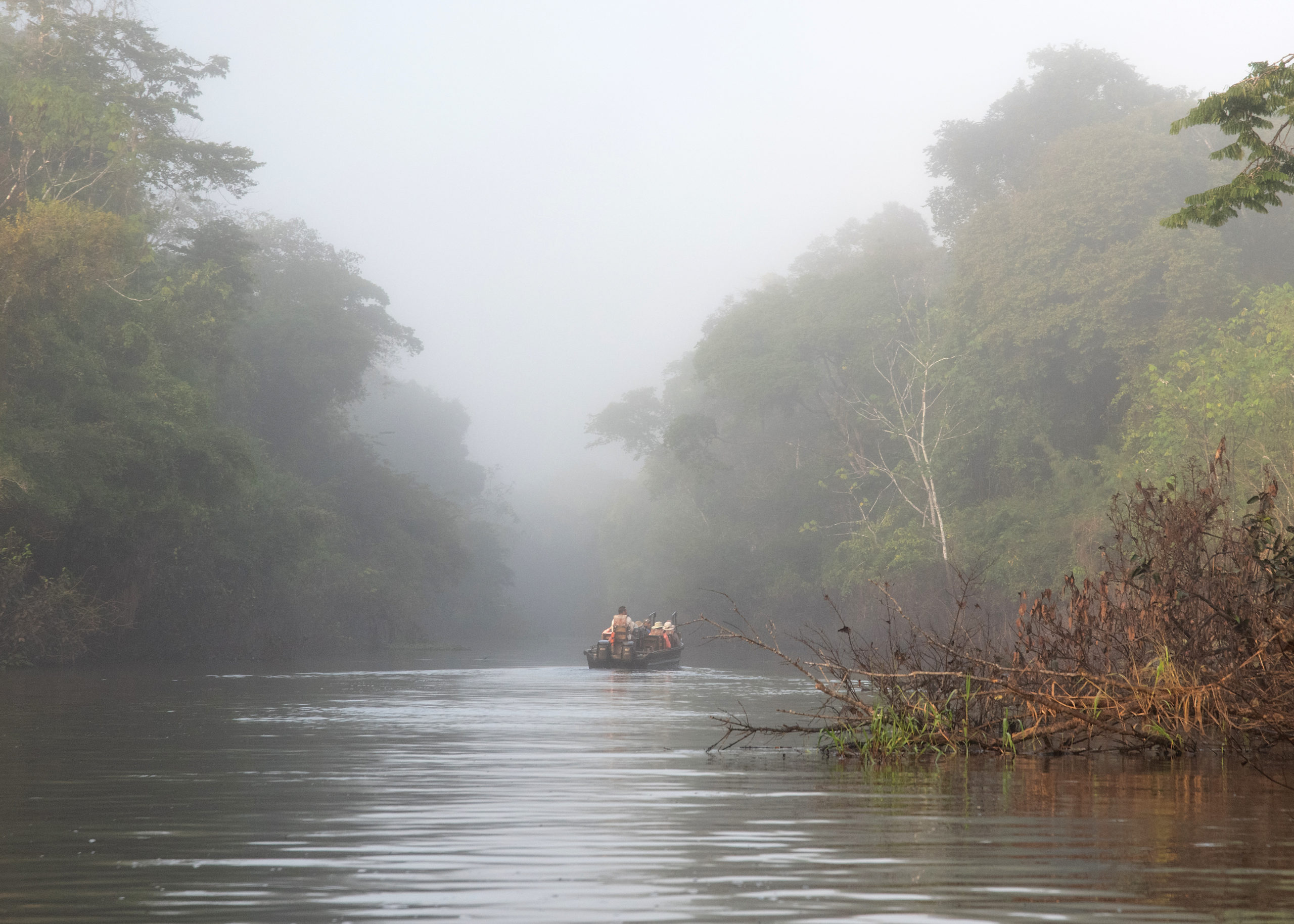 Exploring the Amazon