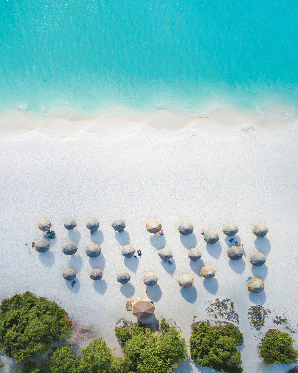 Spring Break|!!| Caribbean Style