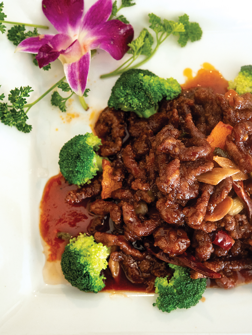 Tsubaki’s Szechuan Specialties