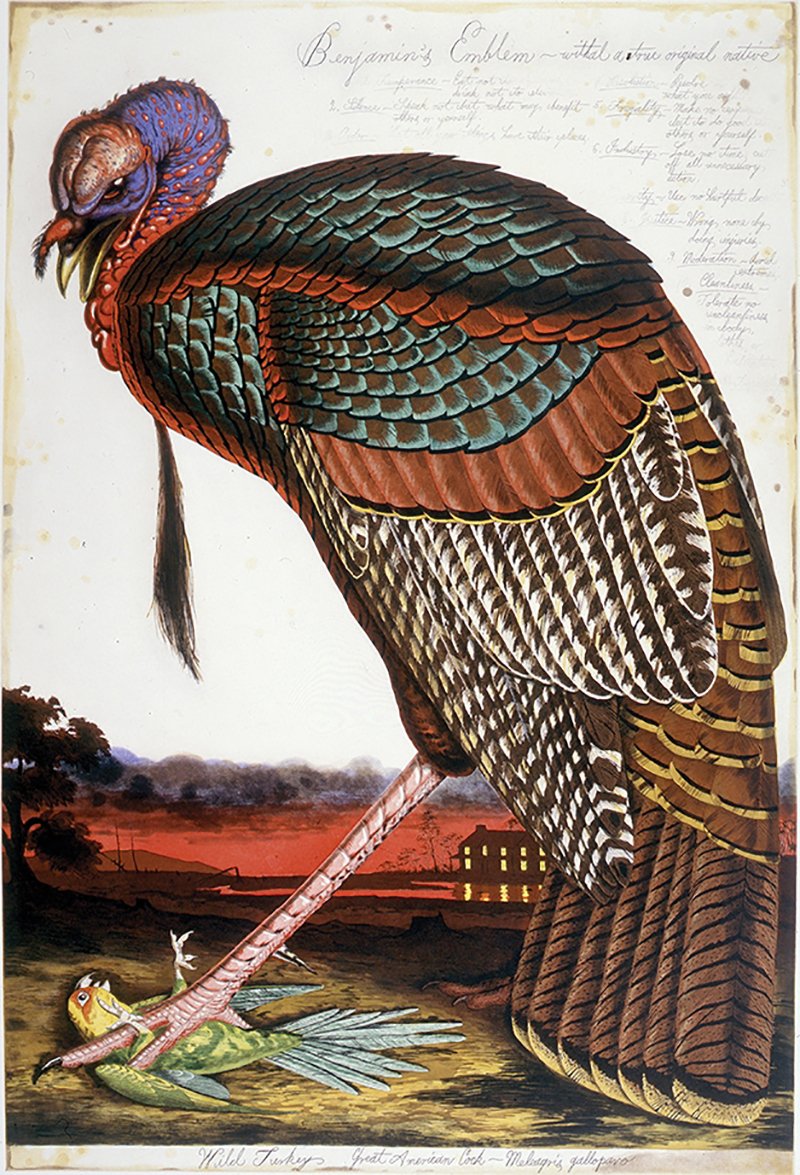 Avian Artistry Flocks to Sam Noble Museum - 405 Magazine