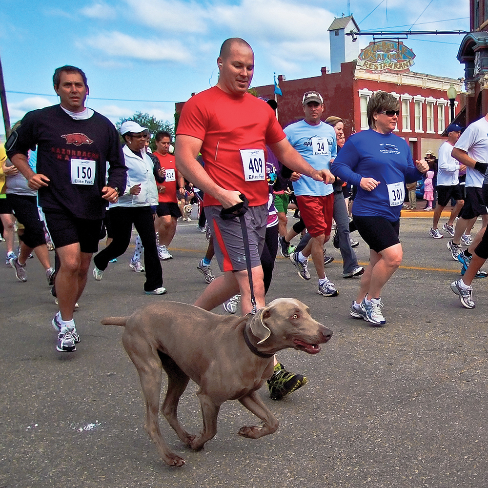 Guthrie’s See Spot Run Returns - 405 Magazine