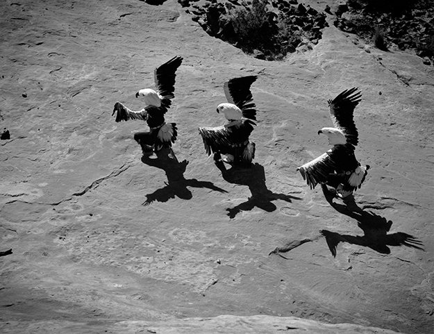 Photography From Native Viewpoints - 405 Magazine