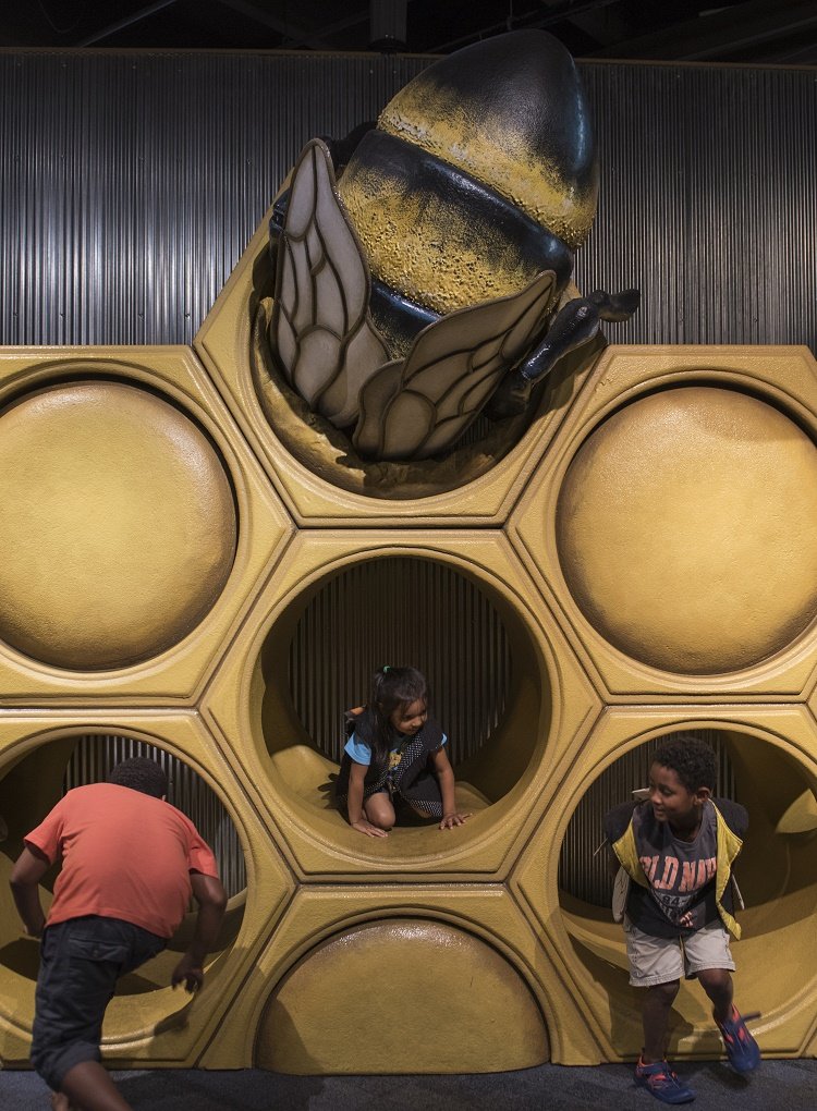 Explore the Hidden World of Bugs at Science Museum Oklahoma - 405 Magazine
